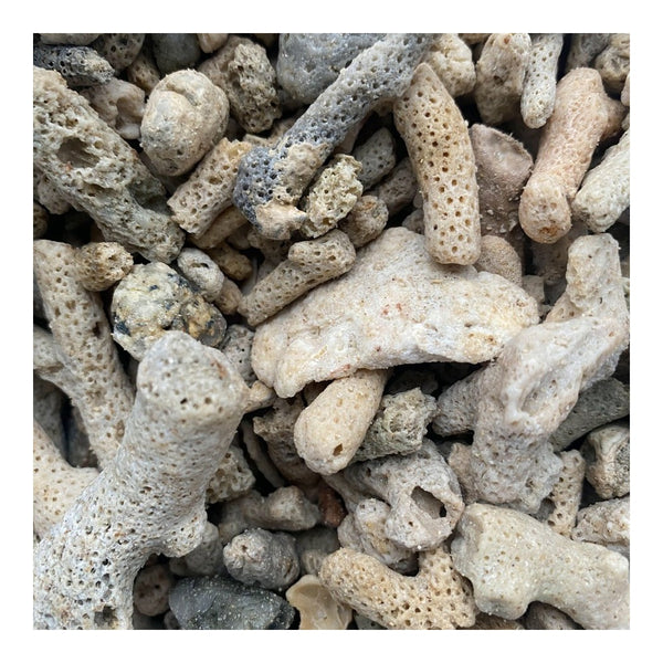 Coral Rubble 1kg | Natural kH & gH Booster | Aquaristic Online