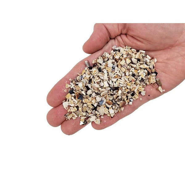 WIO Gravel Shell River Bed 5kg - Aquaristic Online