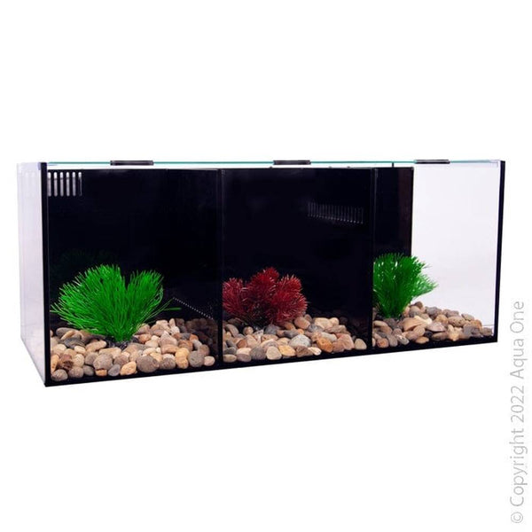 Aqua One Betta Condo Trio - Aquaristic Online