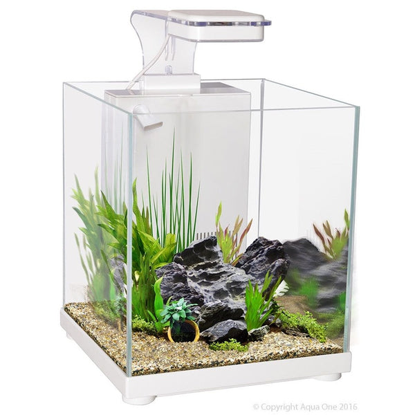 Betta Sanctuary Glass Aquarium 10L (22.4x22.4x26.3cm) - White ...